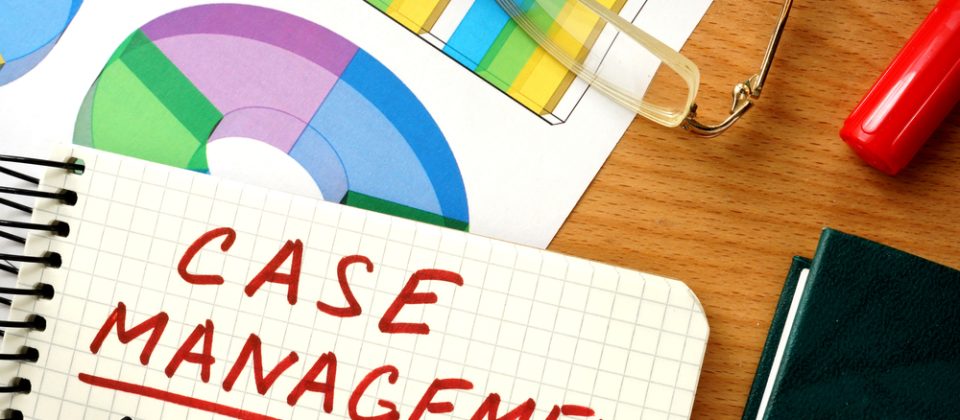 How Can Case Management Systems Help Your Business? - Novelvox
